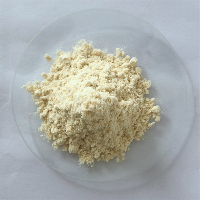 Immune Anti-fatigue Solomon's Seal Extract supplier