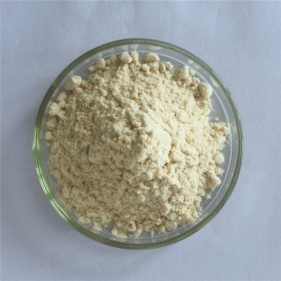Immune Anti-fatigue Solomon's Seal Extract supplier