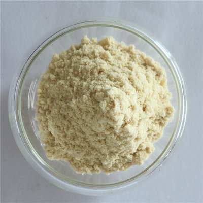Medicine Grade  Migraine Relief Sophora Japonica Extract supplier
