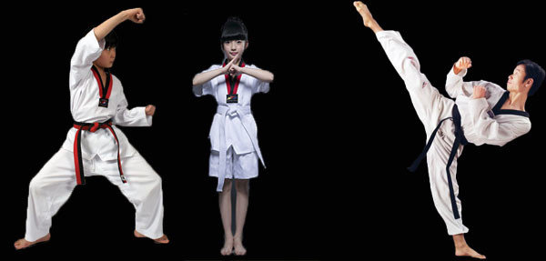 China best Martial arts Protector on sales