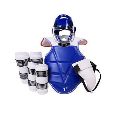 CustomWTF  taekwondo 5pcs equipment set taekwondo body protective Gear supplier