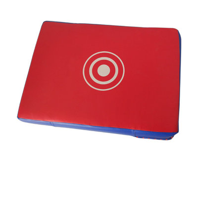 MMA Foot Punch Target Taekwondo Kicking Pads Boxing Training Equipment supplier