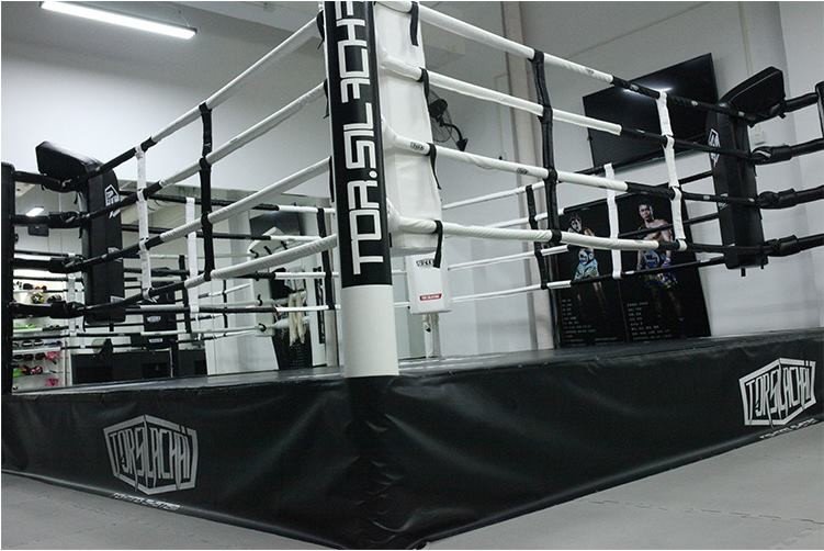 All Size Corner Pads And Pu Ropes Boxing Ring supplier