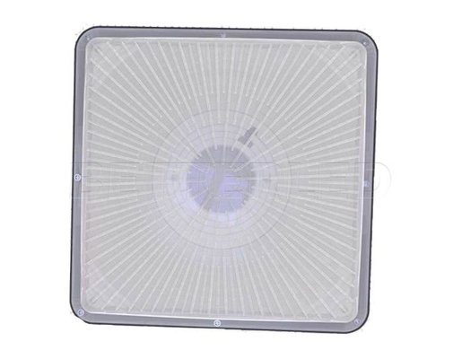 Indoor LED Canopy Light