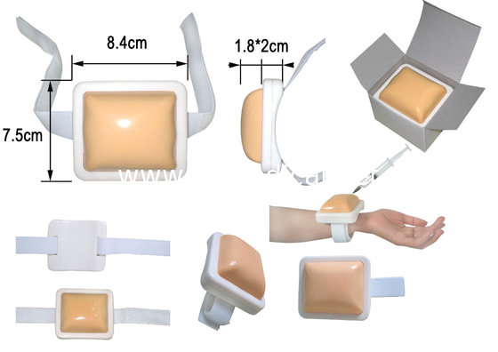 Intramuscular medical Training IV Injection Pad (nurse practice) supplier