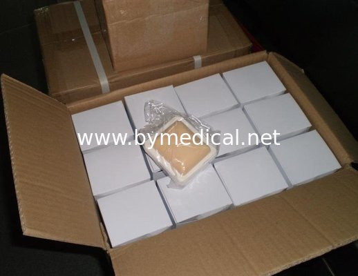 Intramuscular medical Training IV Injection Pad (nurse practice) supplier
