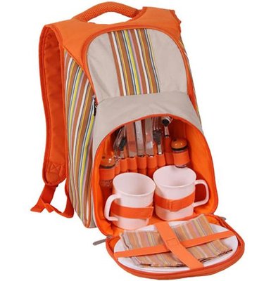 Hot sale outdoor picnic backpack