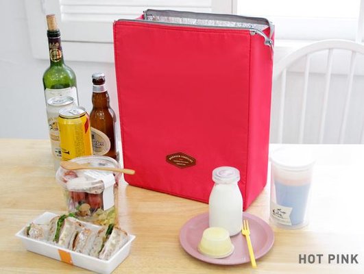 Insulated Cool Ice Picnic Lunch Cooler Bag