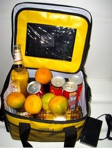 high quality multi-function solar cooler bag 4w