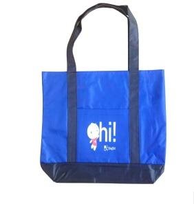 low price  non woven packing bag ,shopping bag
