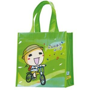 pp woven shopping bag