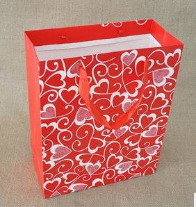 hot-selling paper shopping bag ,gift packing bag