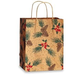 Beautiful Christmas Gift Bags,Paper Bag free shipping