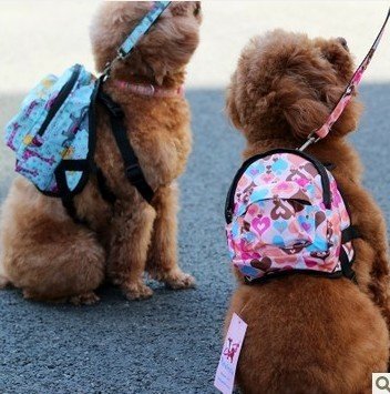 Fashionable pet bag, Pet Carrier Bags