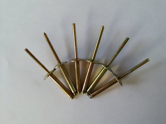Large Flange Blind Rivets Aluminum Steel Stainless Rivets