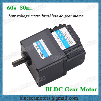 60W low voltage DC brushless motor with normal gear reducer Micro BLDC gears