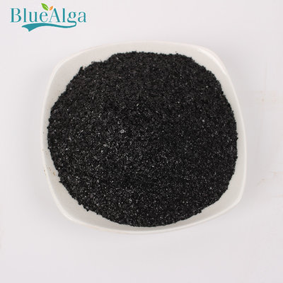 100% natural dry soluble unique biotech  seaweed extract flake fertilizer