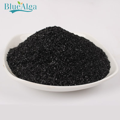 100% natural dry soluble unique biotech  seaweed extract flake fertilizer
