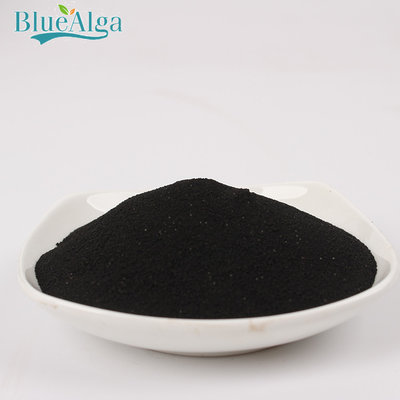 Advanced nutrients hydroponic easily to be utilized by crops seaweed extract fertilizer flake