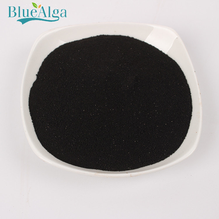 Advanced nutrients hydroponic easily to be utilized by crops seaweed extract fertilizer flake
