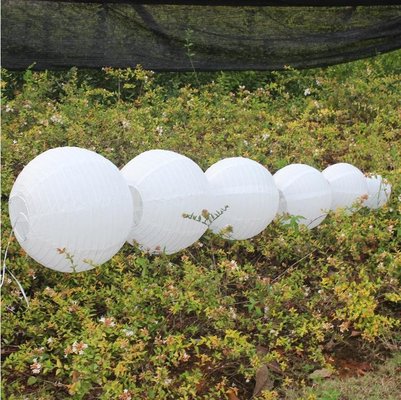 8" Egg Irregular Even Rib Lanterns Red Paper Round Ball
