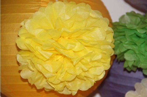 Hanging Wedding Party Decoration Paper Flower Tissue Paper Pompoms