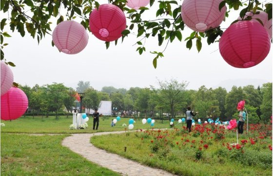 paper lampshade ice cream party decorations mint decoration decorative lantern chinese lampion