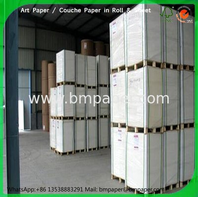 Art Paper Glossy Paper Coated Couche Paper Gloss In Rolls or in sheets in ream supplier