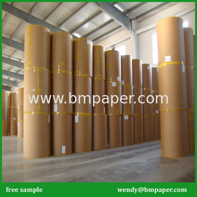 Duplex Paper Card Board 250gsm with Competitive Prices in Roll Packing supplier