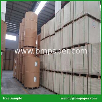 Duplex Paper Card Board 250gsm with Competitive Prices in Roll Packing supplier