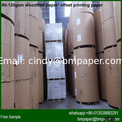Lightweight Coated Green Color Offset Paper