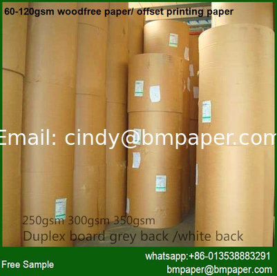 Ivory Woodfree Offset Paper Cardboard / Fbb Board