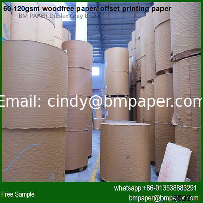 A4 Size White Color Woodfree Offset Paper for Office Notes