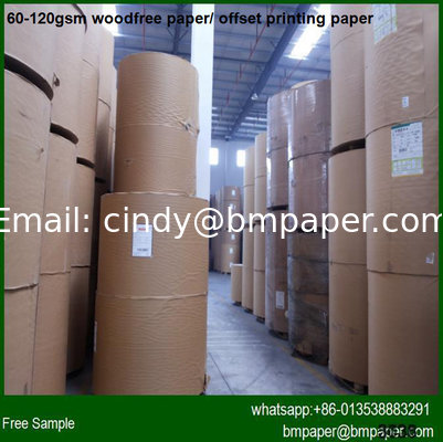 Ivory Woodfree Offset Paper Cardboard / Fbb Board