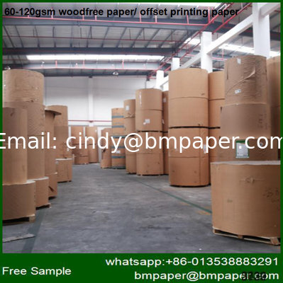 A4 Size White Color Woodfree Offset Paper for Office Notes