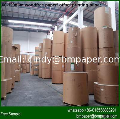 Ivory Woodfree Offset Paper Cardboard / Fbb Board