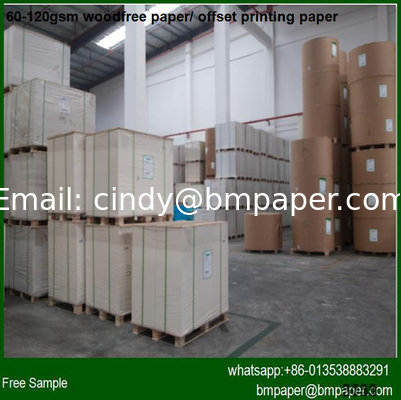 Reasonalbe Prices white Offset Printing Paper