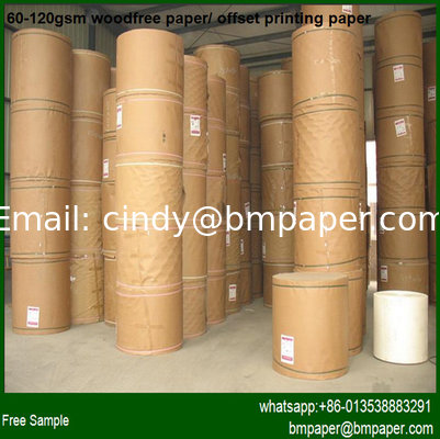 Offset Printing Paper In Roll