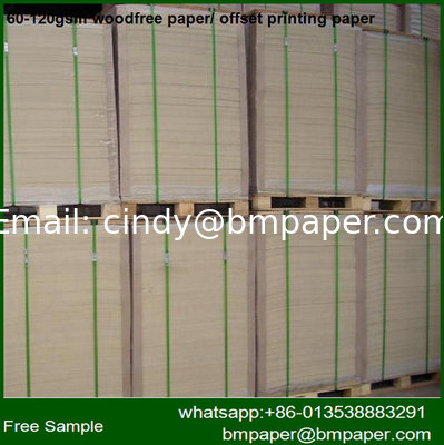 Offset Printing Paper In Roll