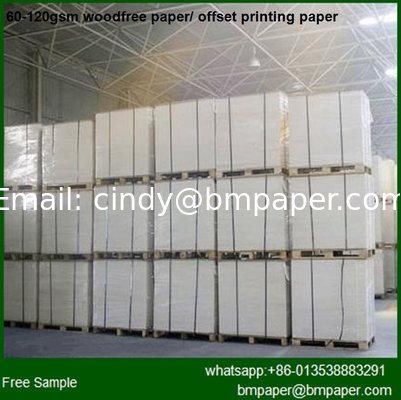 Offset Printing Paper In Roll