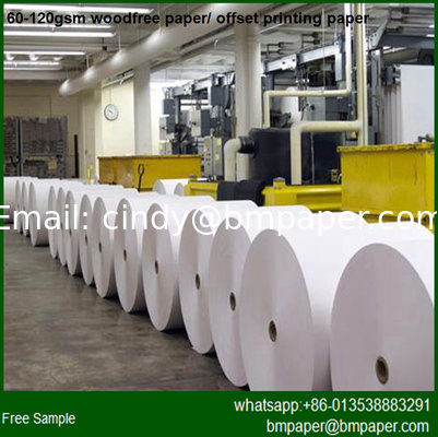 Offset Printing Paper In Roll