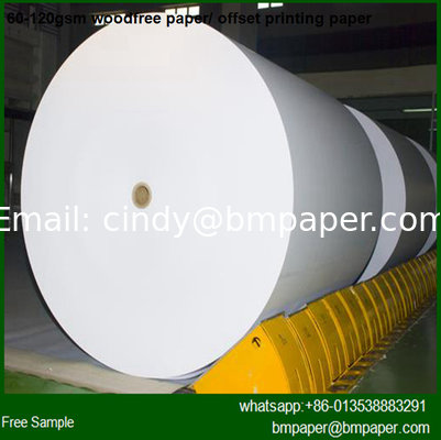 High Quality China offset paper