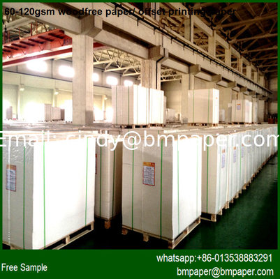 Different Sizes Offset Wood Free Color Printing Paper