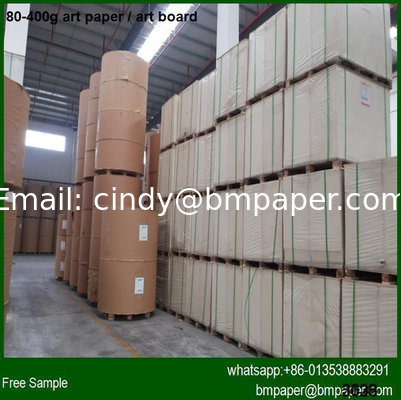 High brightness 200g 250g 300g 350g Art card paper in China