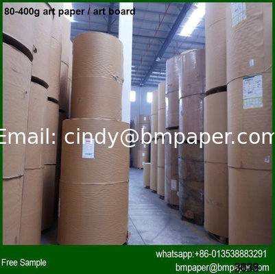Cheap price coated Art Paper / art board 250gsm