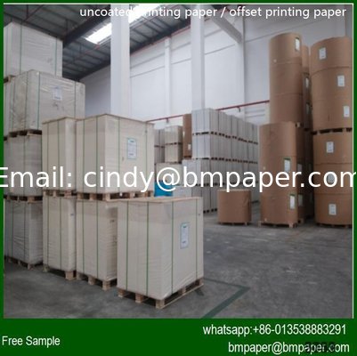 High Quality 60gsm- 120gsm Bulky Book Paper / Book Paper / Cream Bulky Paper