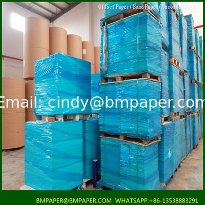 Art card board paper/ C1S / C2S coated art paper product