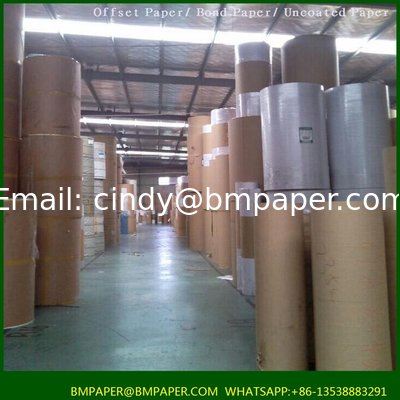Art card board paper/ C1S / C2S coated art paper product