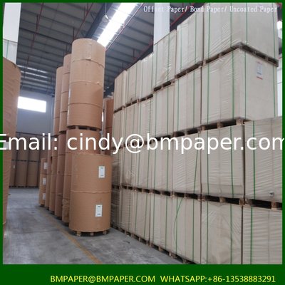 Art card board paper/ C1S / C2S coated art paper product