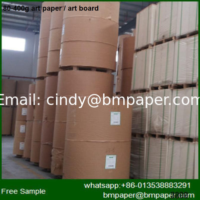 Premium Quality Of C2S Art Paper Gloss or Matt